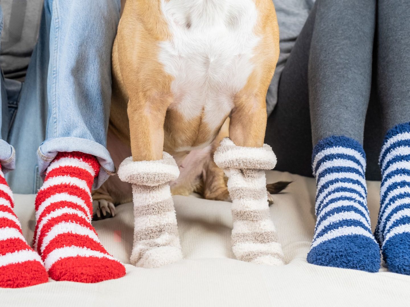 Lots Of Socks - World Down Syndrome Day